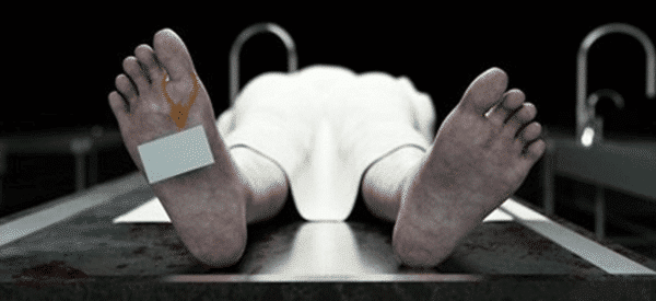 Le meurtre ou homicide volontaire : avocat homicide - pénaliste